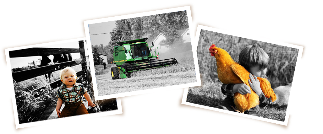 ZFS Ithaca calendar submissions - ZFS Ithaca